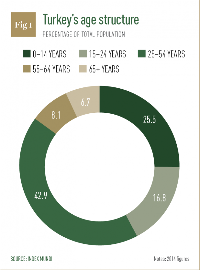 Participation banking rises in Turkey | World Finance