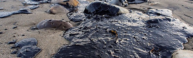 Climate change controversy could destroy big oil | World Finance