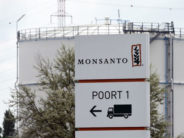 Monsanto pulls new GM seed from Indian market | World Finance