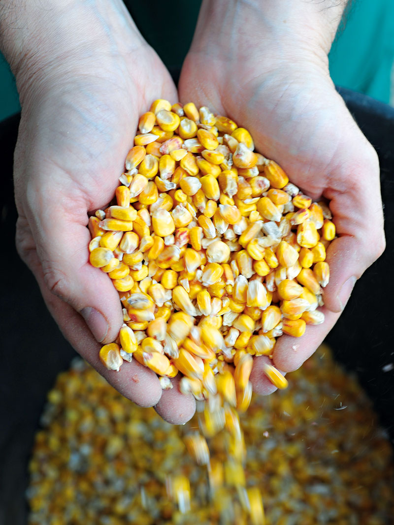 Financial History: CAFTA-DR | World Finance