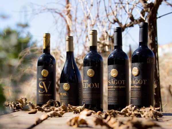 Inspiring Israel’s fine wine renaissance | World Finance