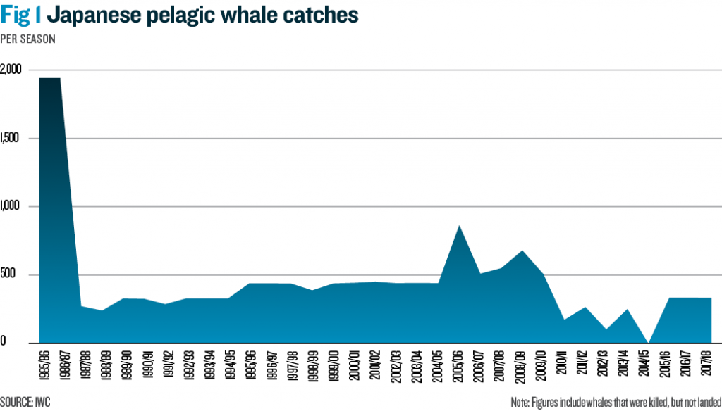 The devil and the deep blue sea – Japanese whaling brings surprising ...