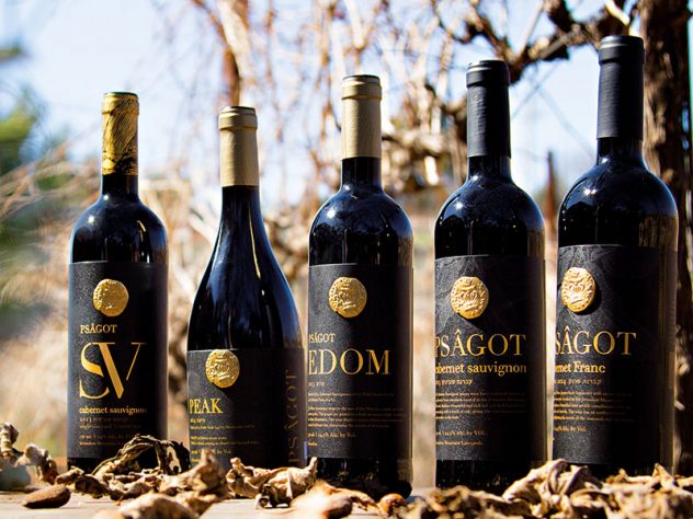 Psagot Winery breathes new life into Israeli winemaking with specialist ...