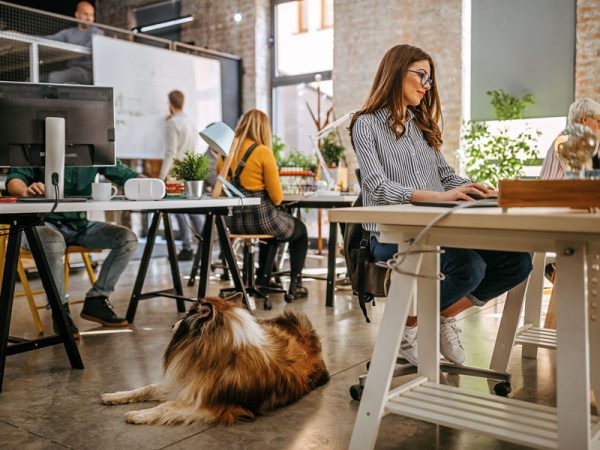 Placing a priority on workplace satisfaction | World Finance